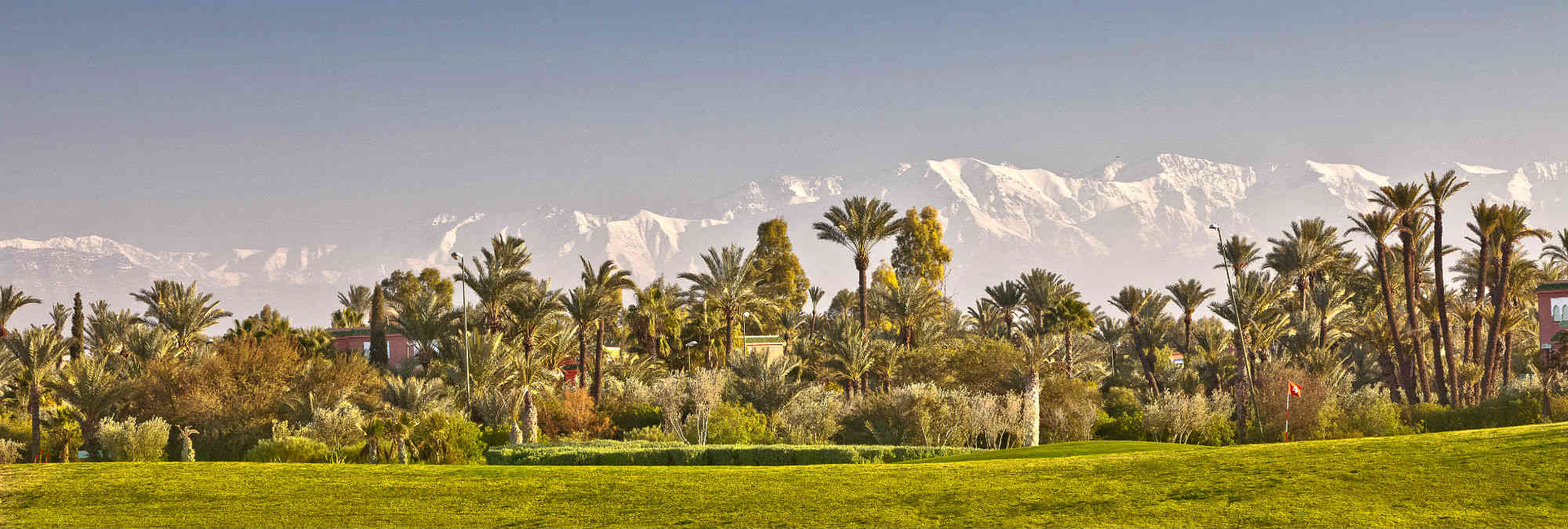 Camel Ride in Marrakech Palmeraie - The Magic of Marrakech
